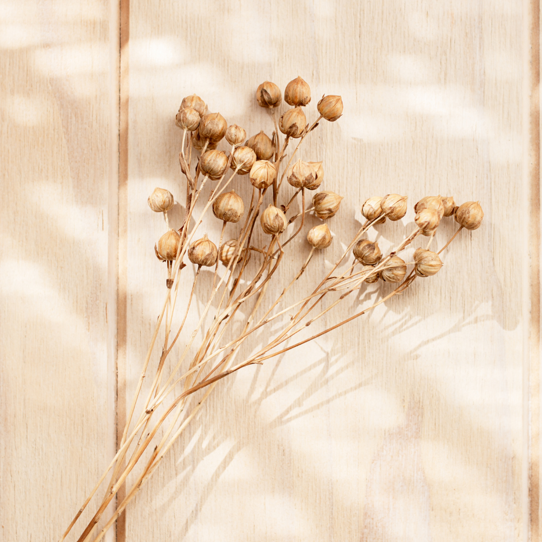 Chauffage : pellets de lin, ressource d'avenir pour remplacer le bois